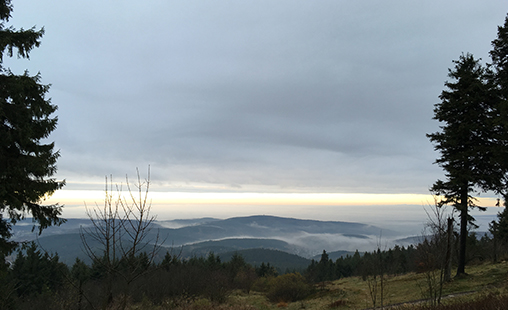 Markus Redlich | Outdoorveranstaltung