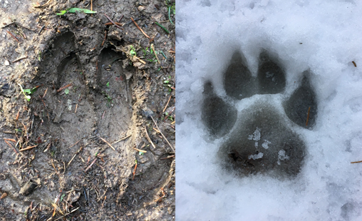 Markus Redlich | Kindergeburtstag